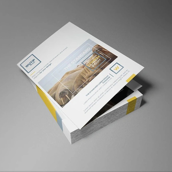 Folded Flyers and Leaflets | Folkestone Printing